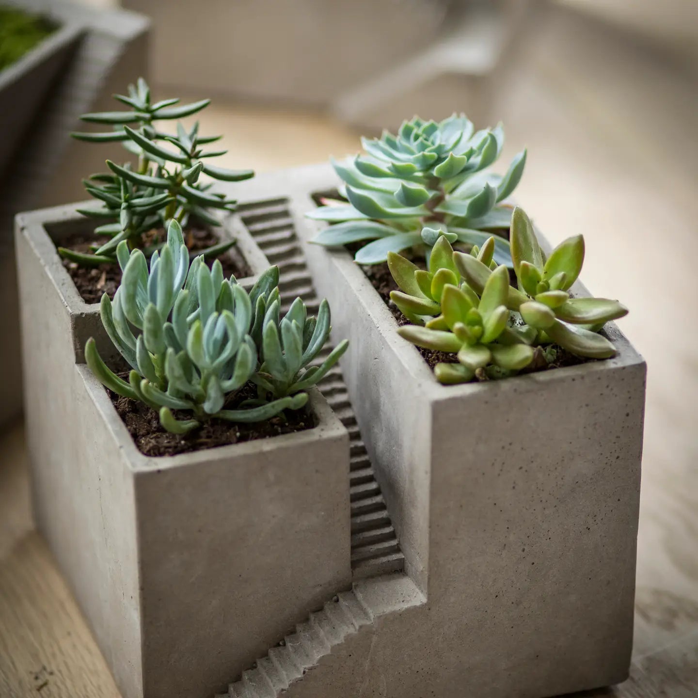 Cement Architectural Cube – Mothology